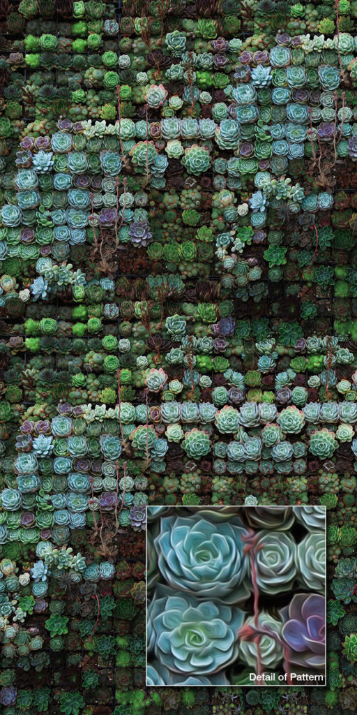 Hens & Chicks (Sample) | ATI Decorative Laminates