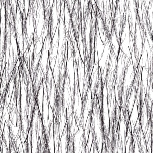 Birch (Sample) | ATI Decorative Laminates